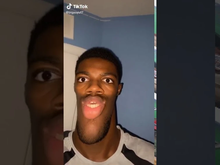 Quality Content | Fandom