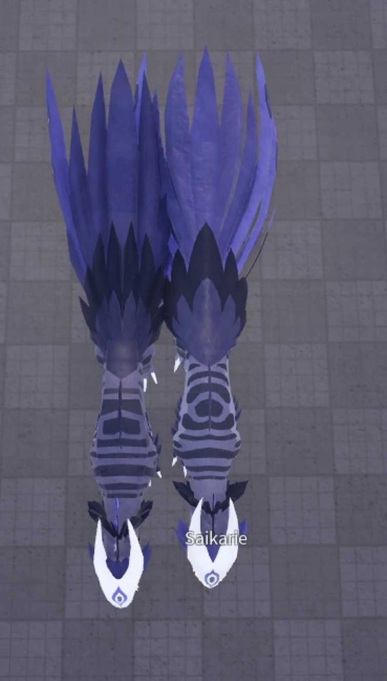 Saikarie Sizing And Unofficial Stats! | Fandom