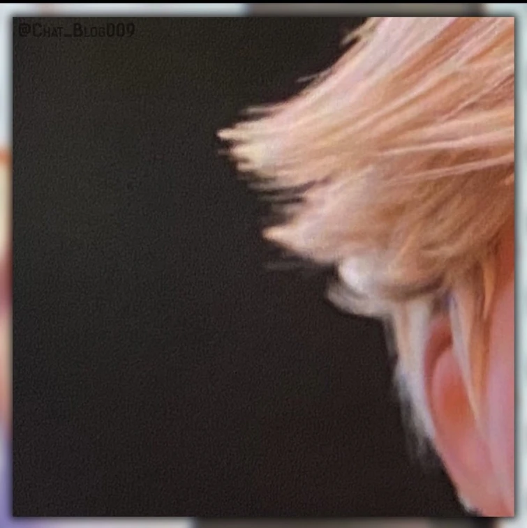 Some New Images Of Adrien From The Awakening Movie Has Been Revealed ...