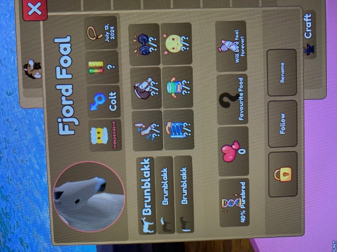 SEEING OFFERS ON WC FF | Fandom