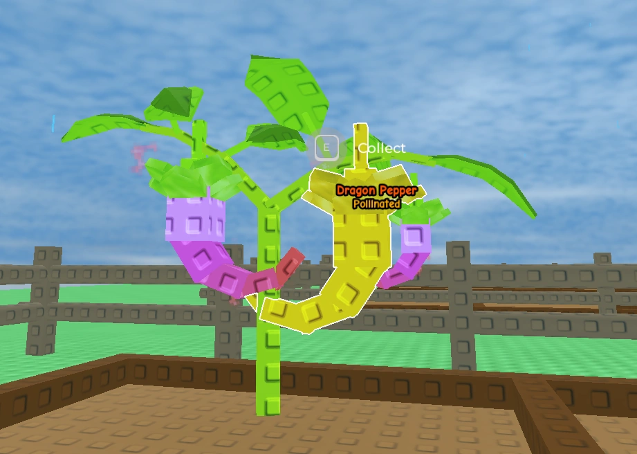 Dragon Pepper | Fandom