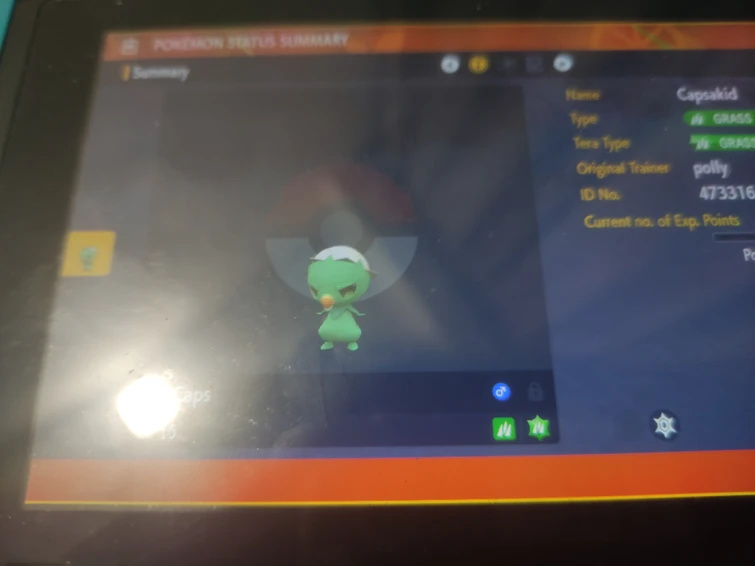 Discuss Everything About Pokémon Wiki | Fandom