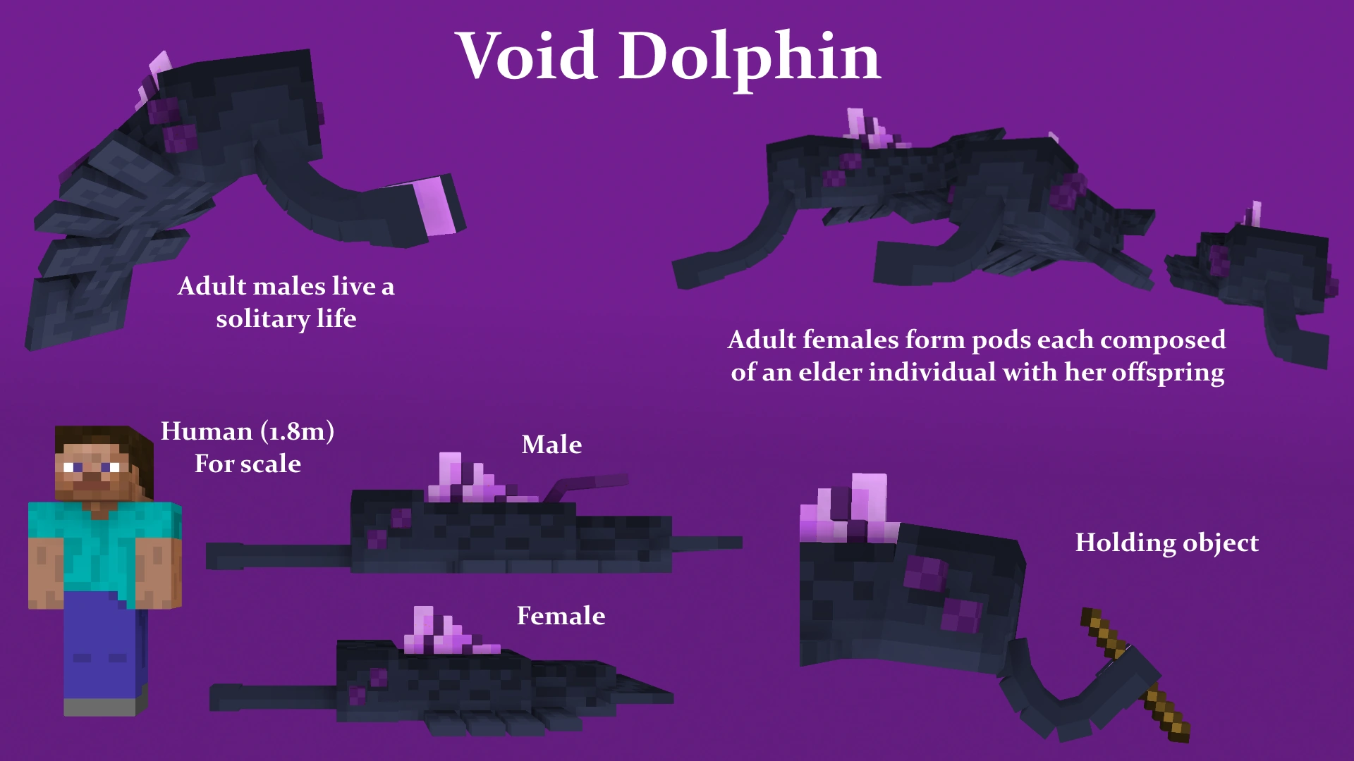 Void Dolphin | Fandom