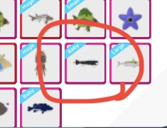 My fish escape containment | Fandom