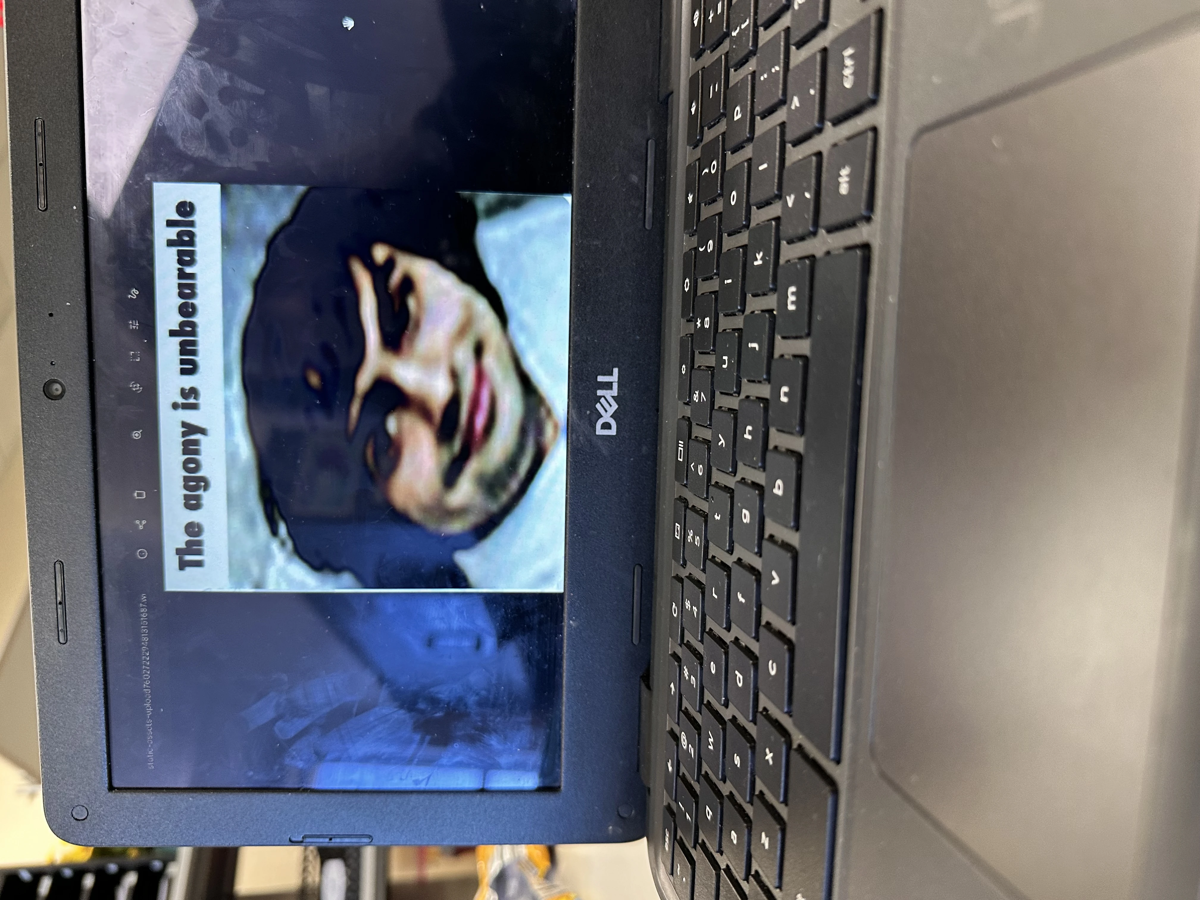 My Chromebook froze on this image while at school 😭 | Fandom