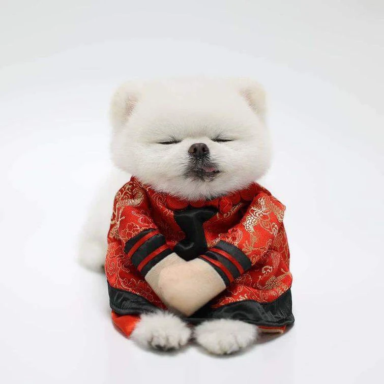 Pongki drip i guess | Fandom