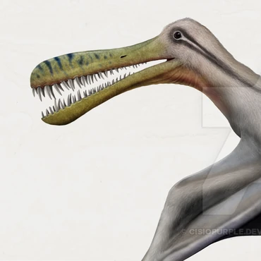 Discuss Everything About Dinopedia | Fandom