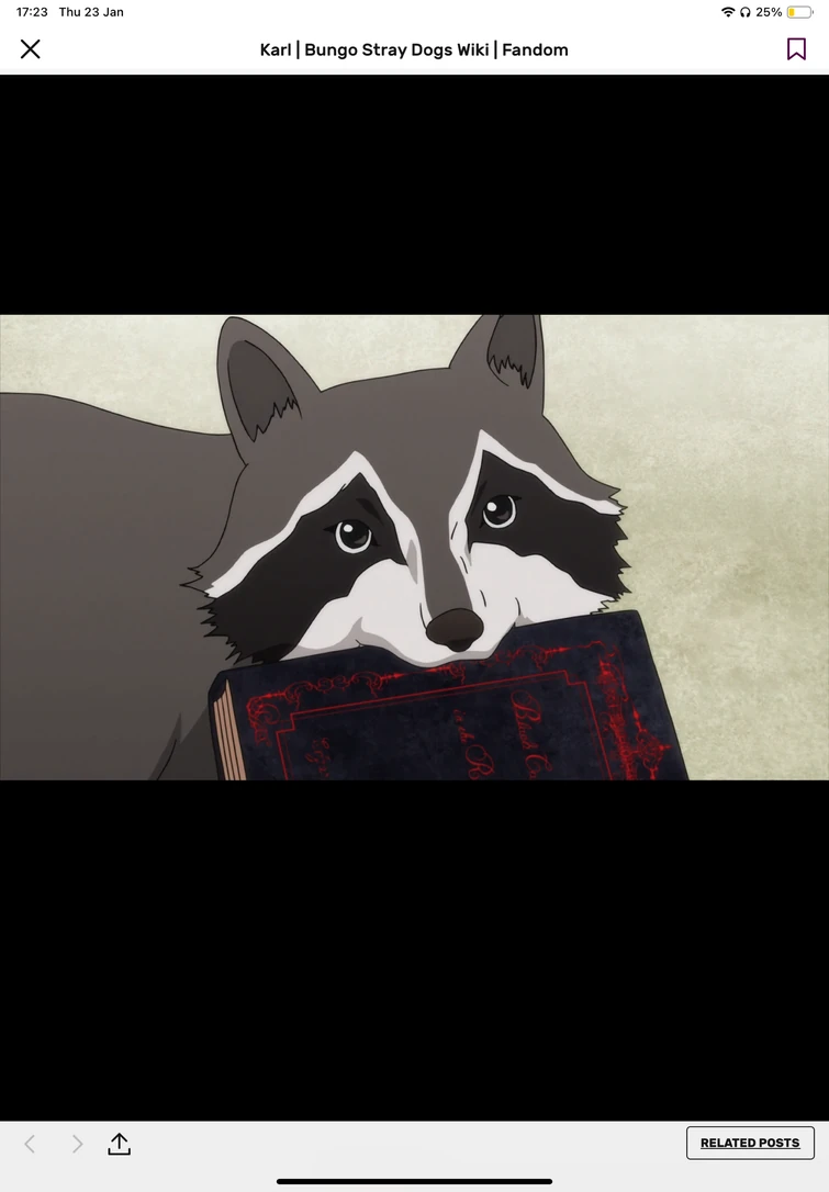 Discuss Everything About Bungo Stray Dogs Wiki | Fandom
