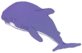 Shark | 12 oz mouse Wiki | Fandom