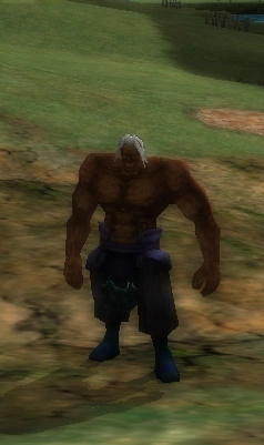 Hulking arm | 12sky Wikia | Fandom