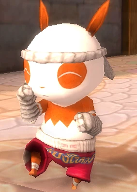 Fighter Set | 12TailsOnline Wiki | Fandom