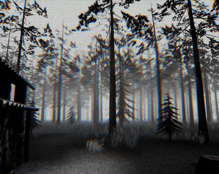 Archive of "Th3 Sh4dy Gr3y" | Fandom