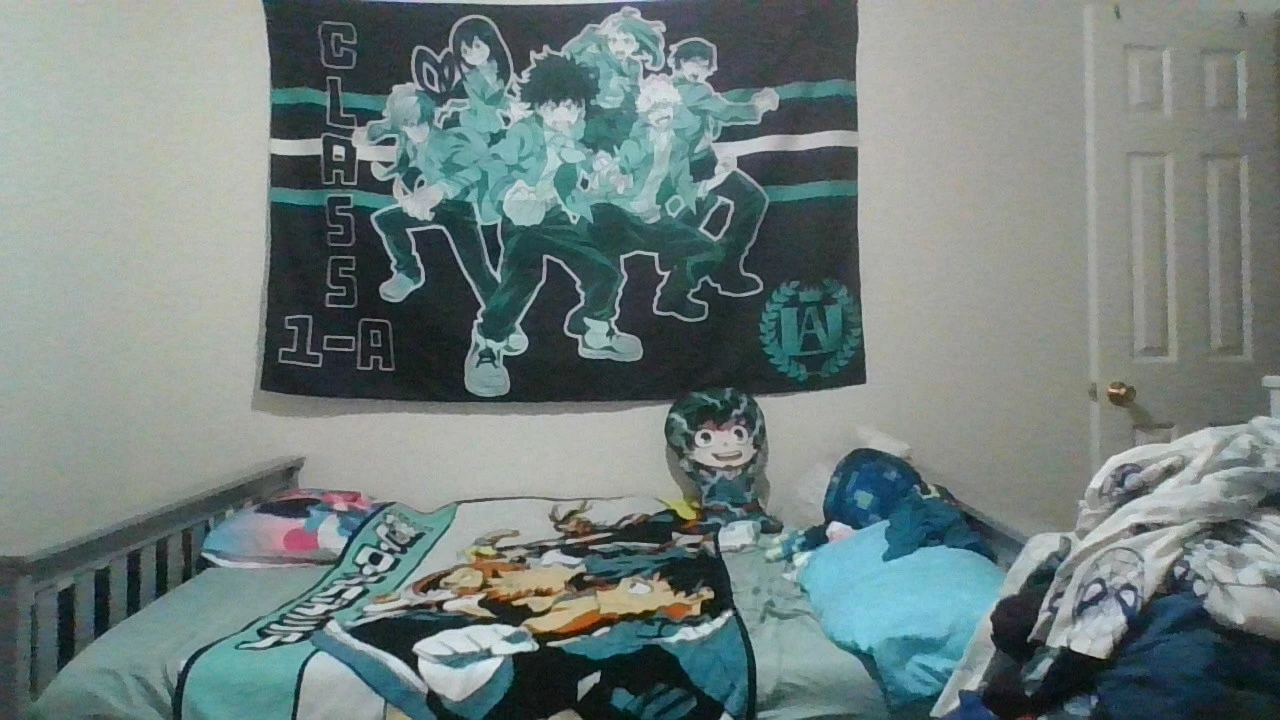 MHA/BNHA stuff I got for Christmas | Fandom