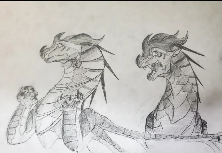 Discuss Everything About Wings of Fire Wiki | Fandom