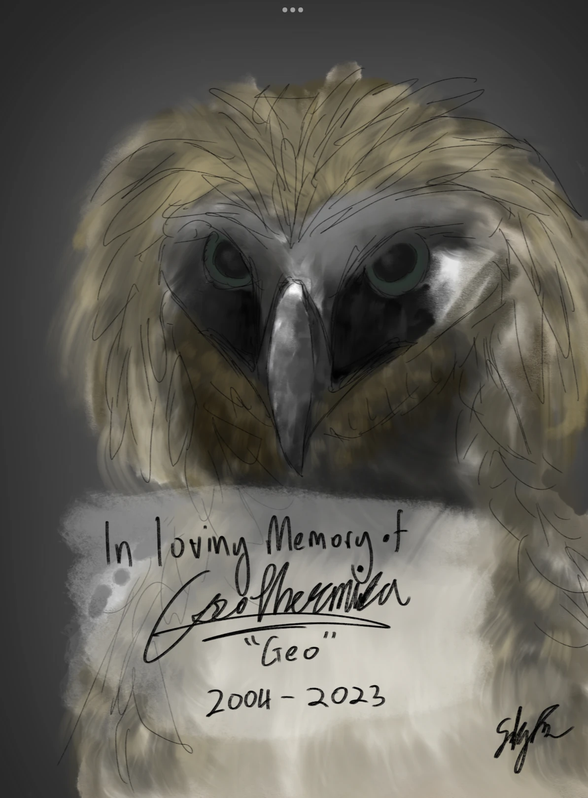 Tribute to Geo (OT Art) | Fandom