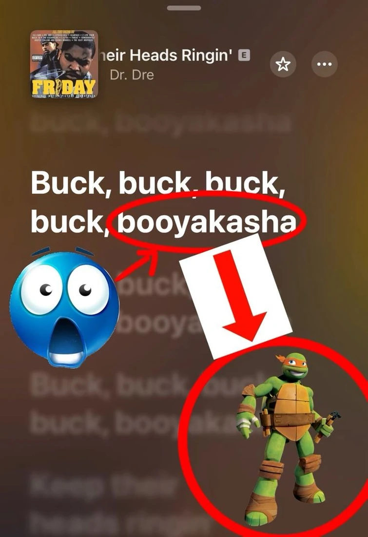 𝙈 𝙀 𝙈 𝙀 𝙎 [Day 11] | Fandom