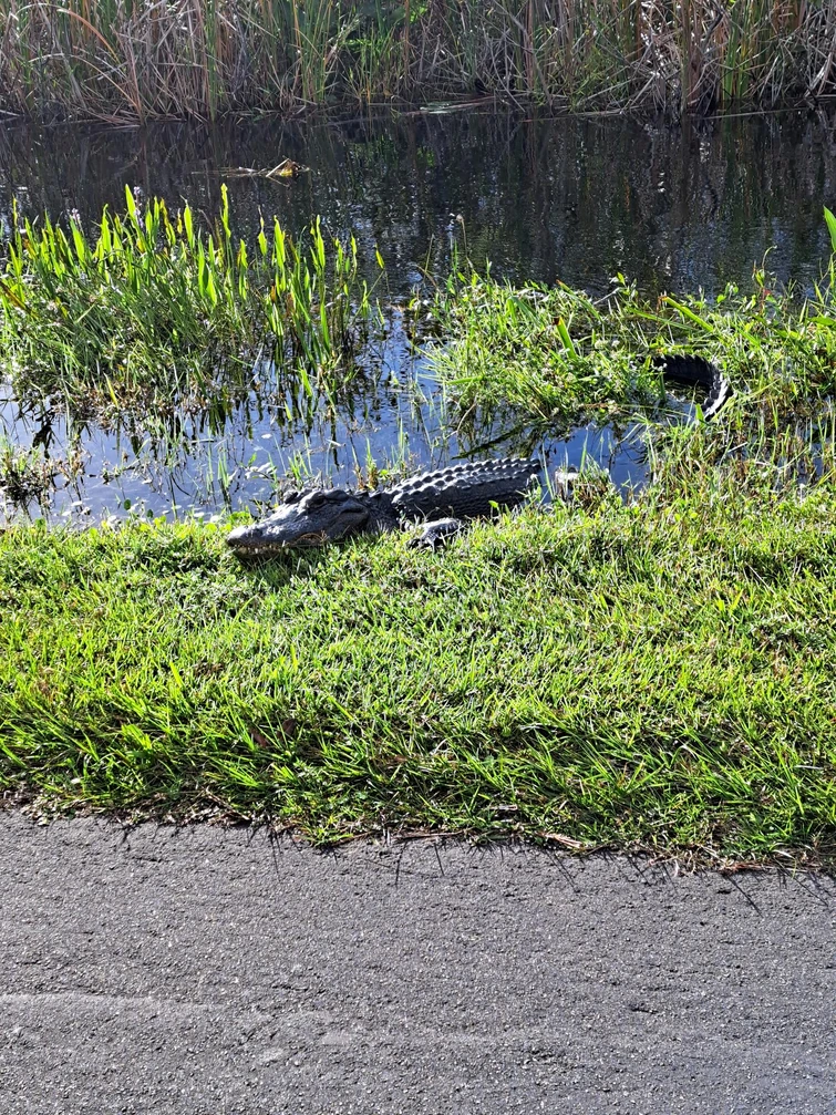 Off Topic Post | Fandom