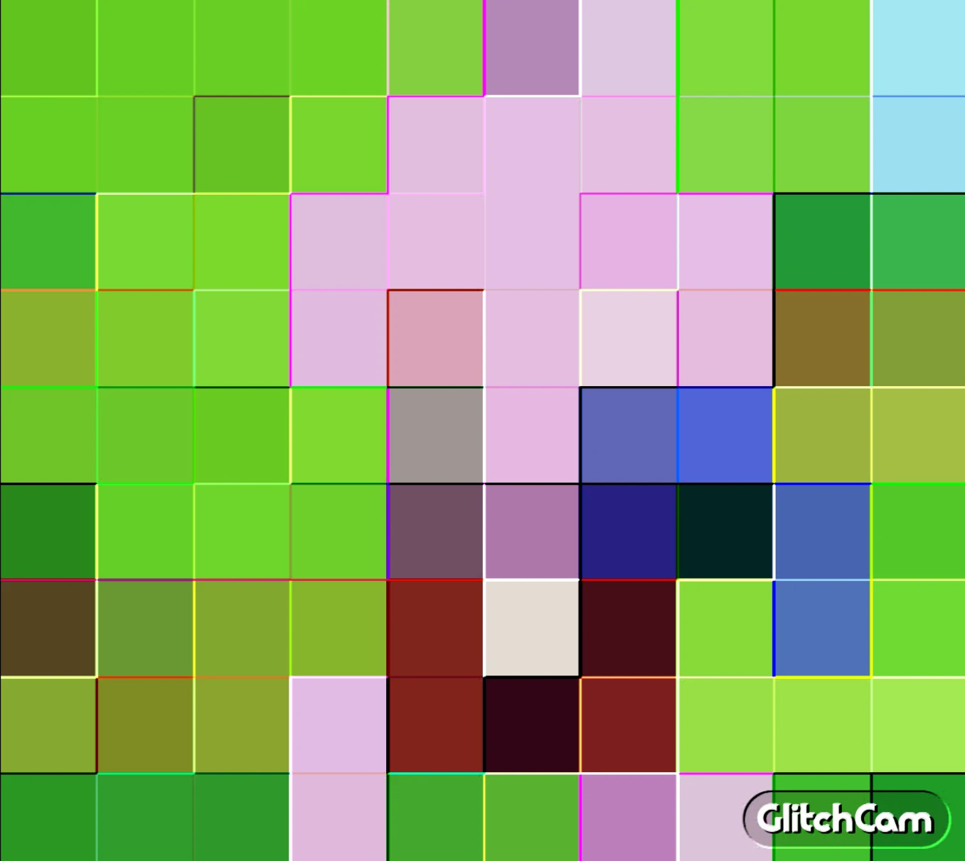 Guess he pixelated Pokemon 2 | Fandom