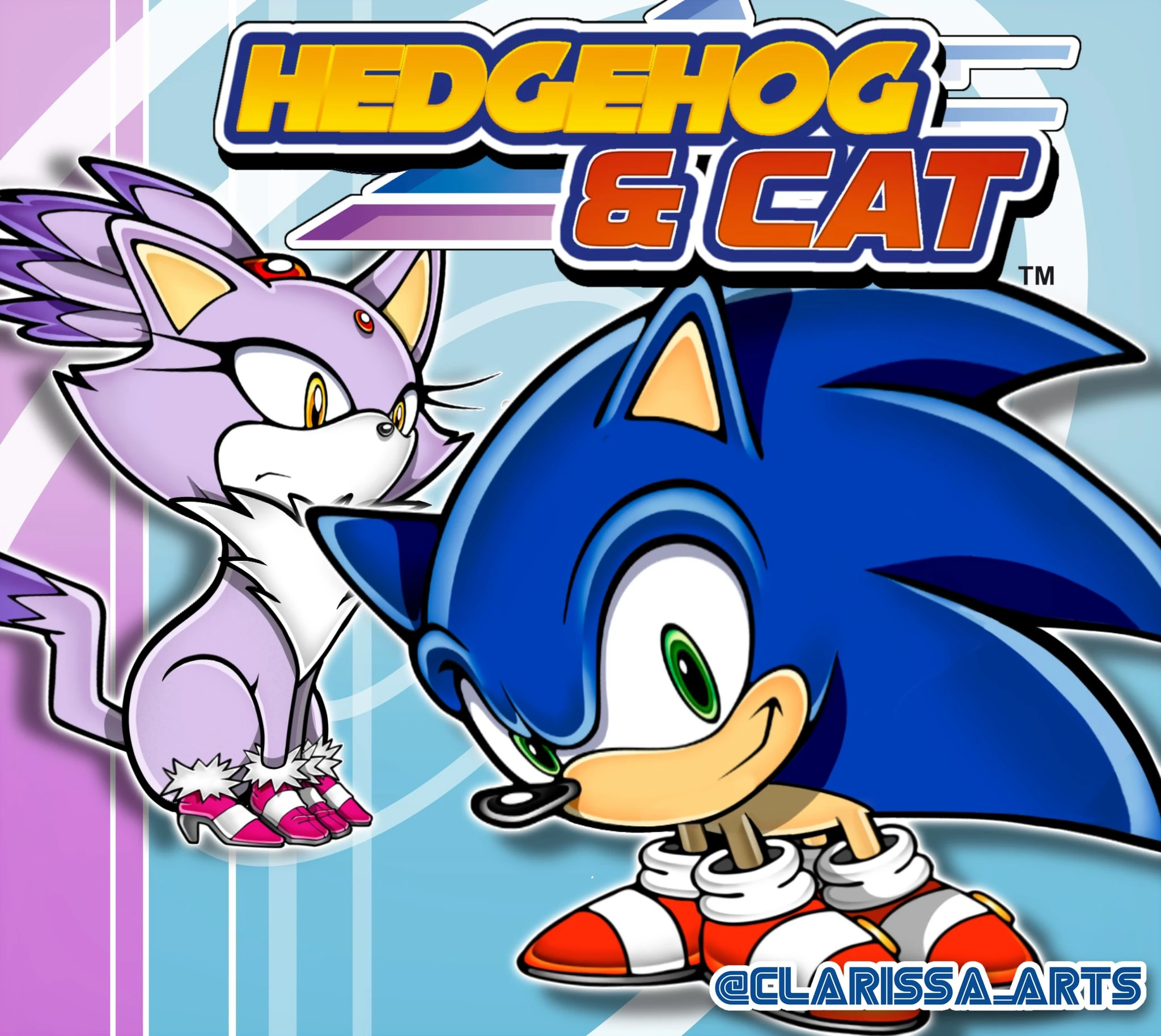 Happy Birthday to the best Sonic game ever made. | Fandom