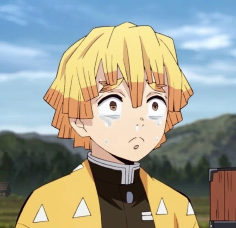 Me after finding out my favorite teacher hates Zenitsu | Fandom