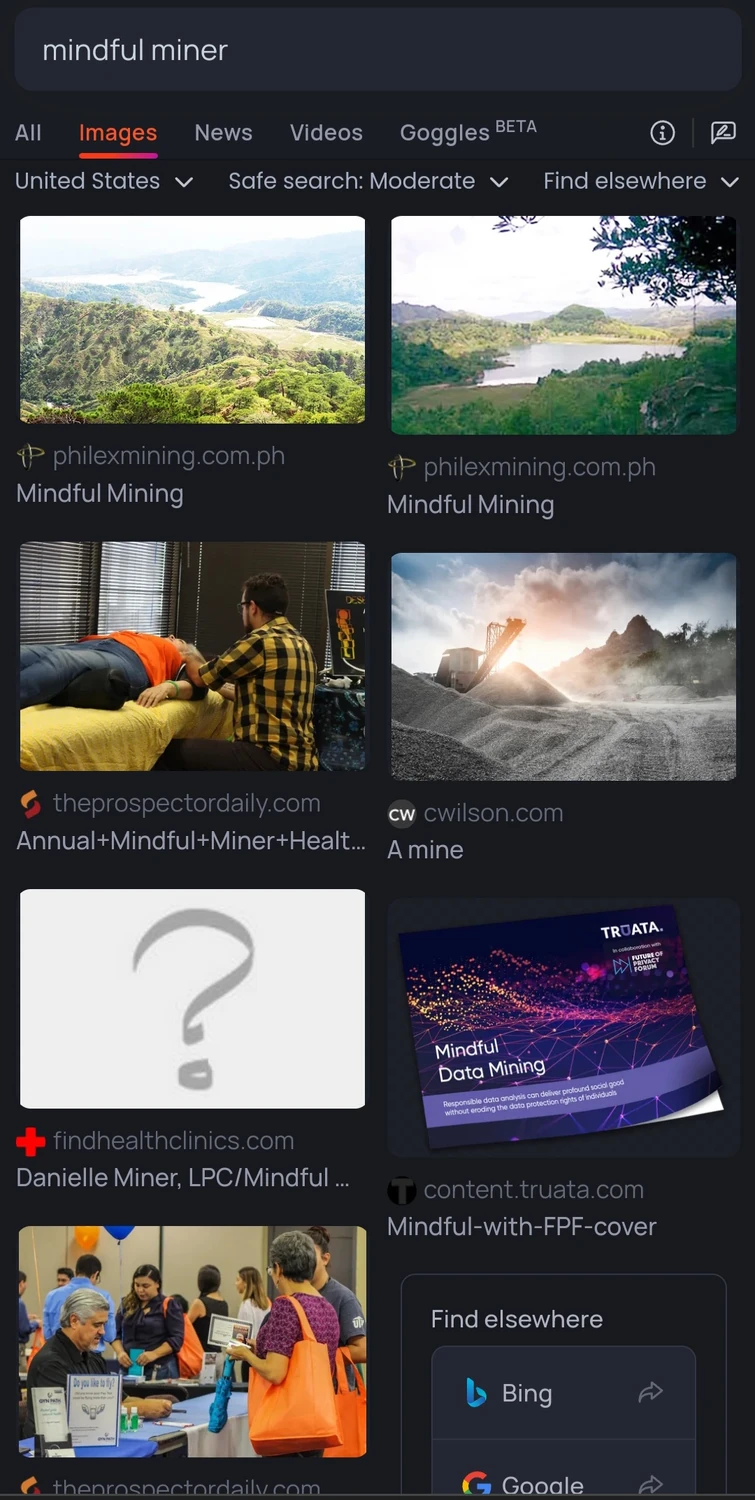 tried searching up mindful miner on google out of boredom | Fandom