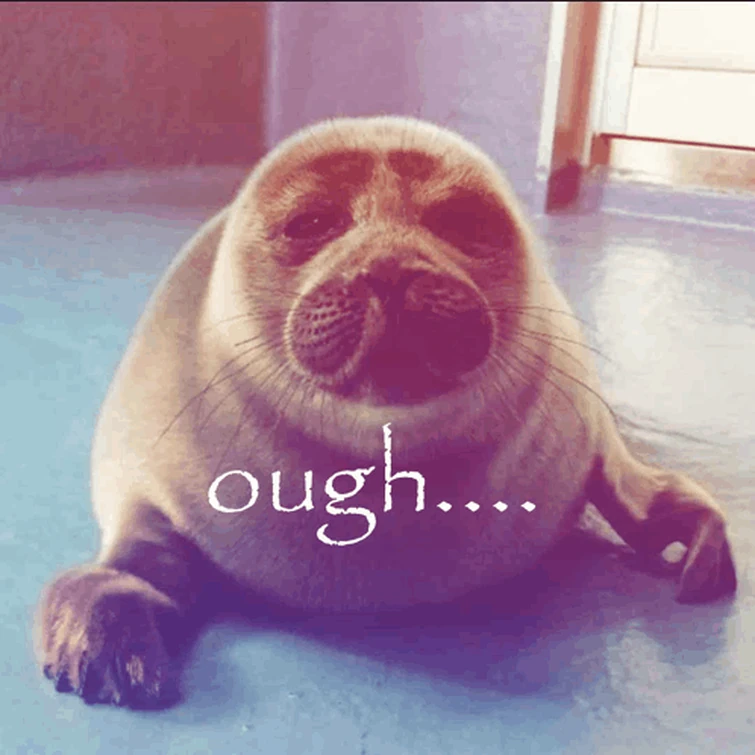 (Ok guys lets make a Wiki family) | Fandom