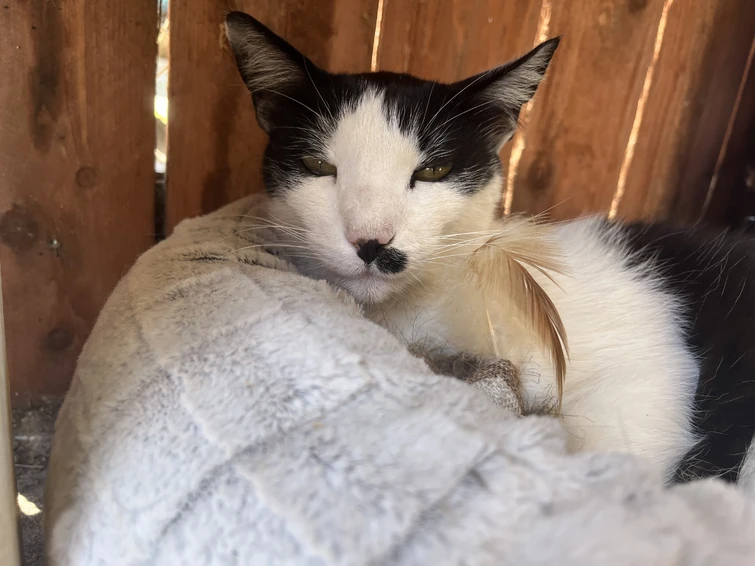 charlie image dump | Fandom