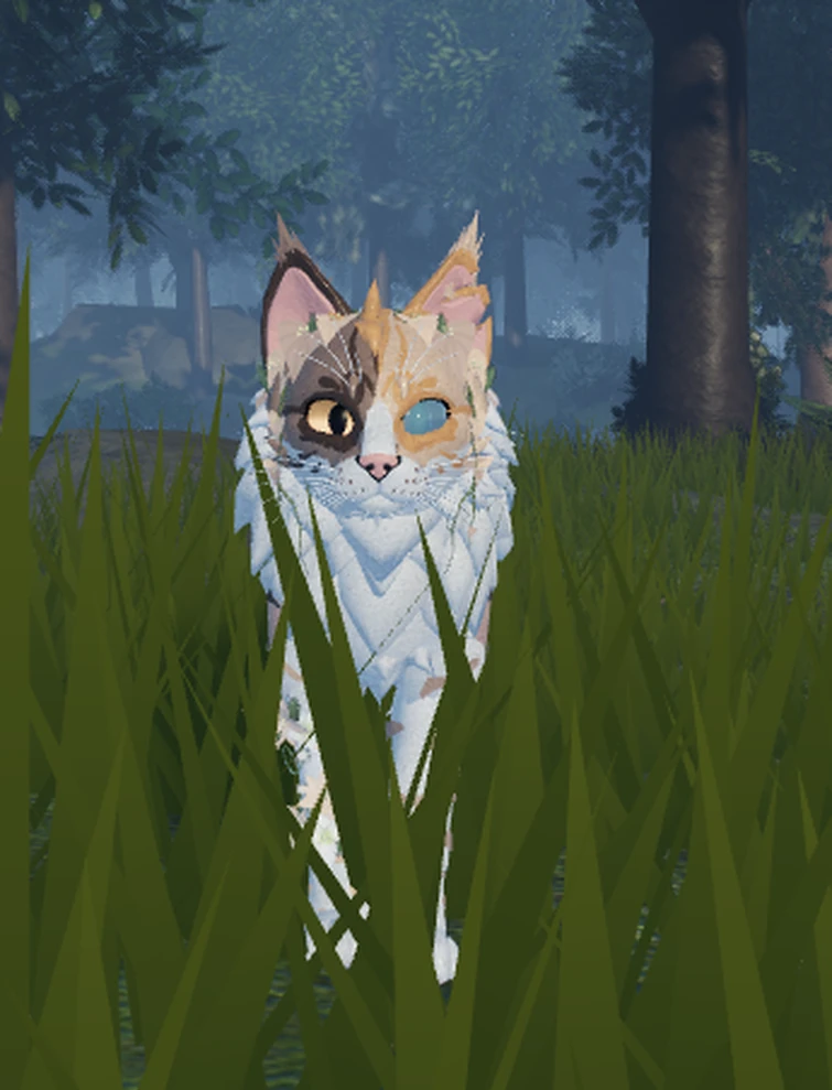 custom morph! | Fandom