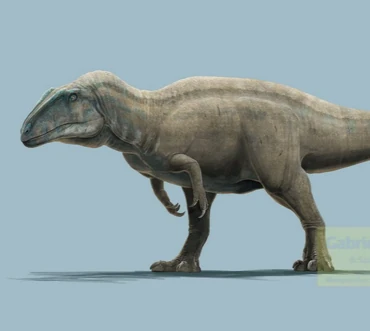 Discuss Everything About Dinopedia | Fandom