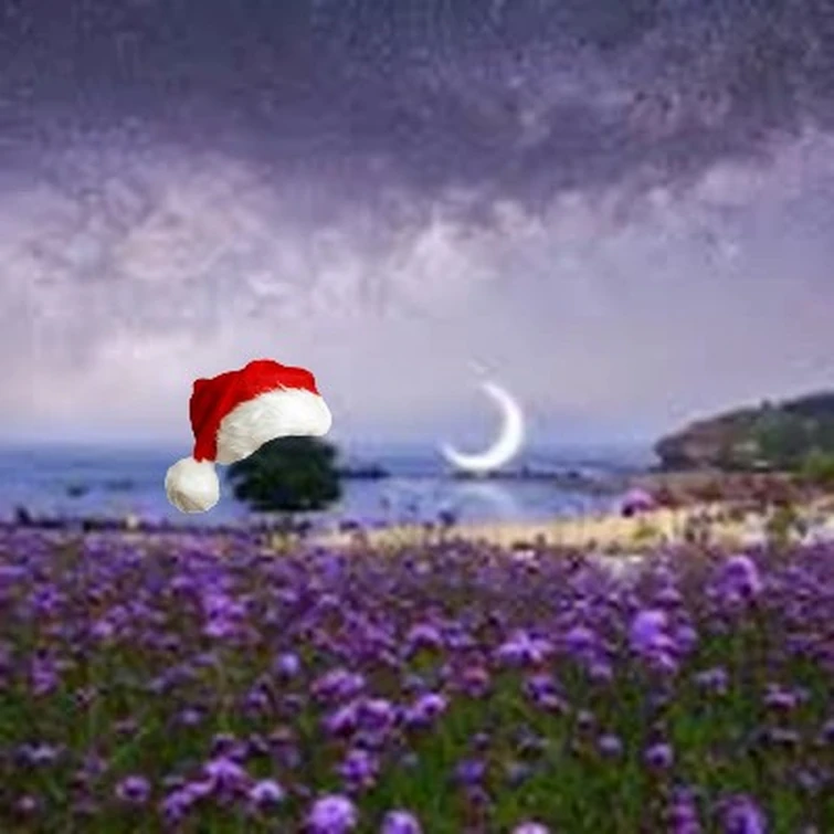 I will give your pfp a Santa hat because It's beginning to look a lot ...