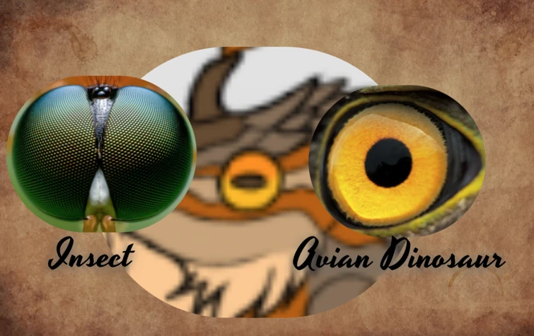 Akorbik Anatomy Study!! | Fandom