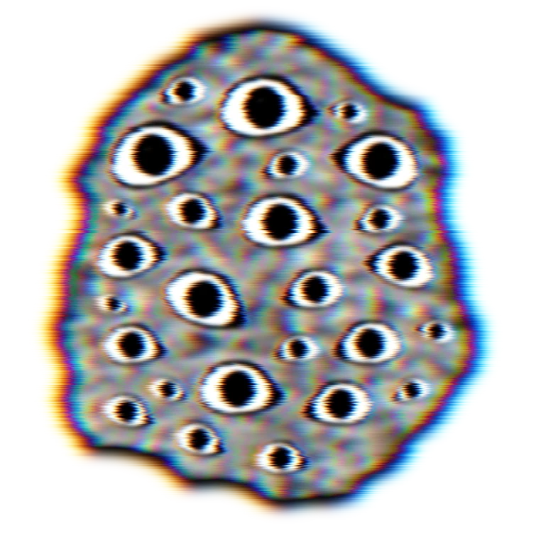 My Custom Entity "Migrate" | Fandom