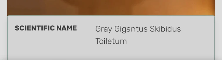 Scientific Name | Fandom