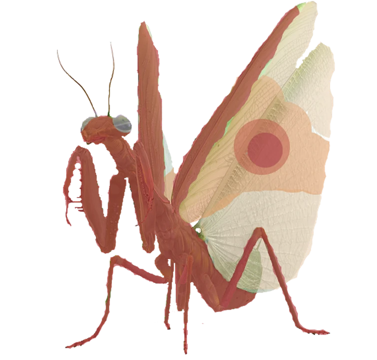 ok so the green mantis, the red mantis, the rat the red mantis was ...