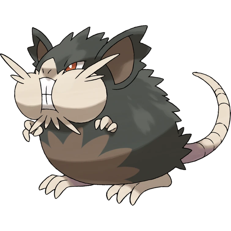 Fun fact I think Alolan Raticate is cute | Fandom