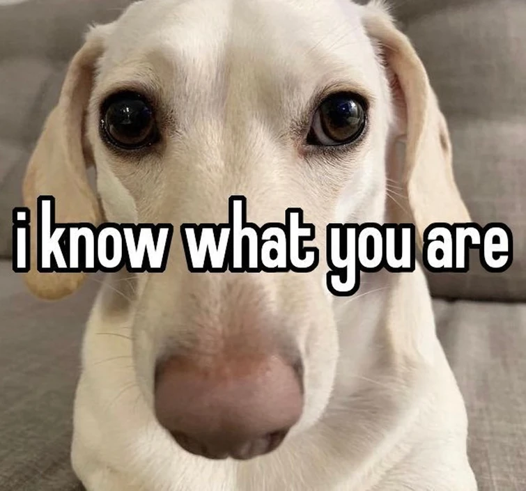 Rudie ship names ! | Fandom