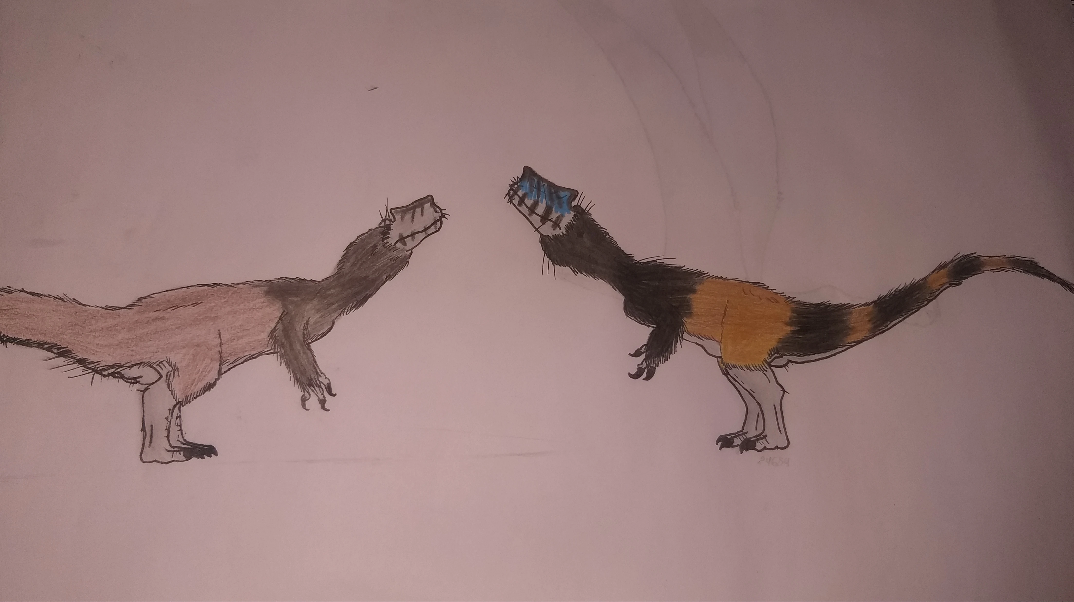 Proceratosaurus | Fandom