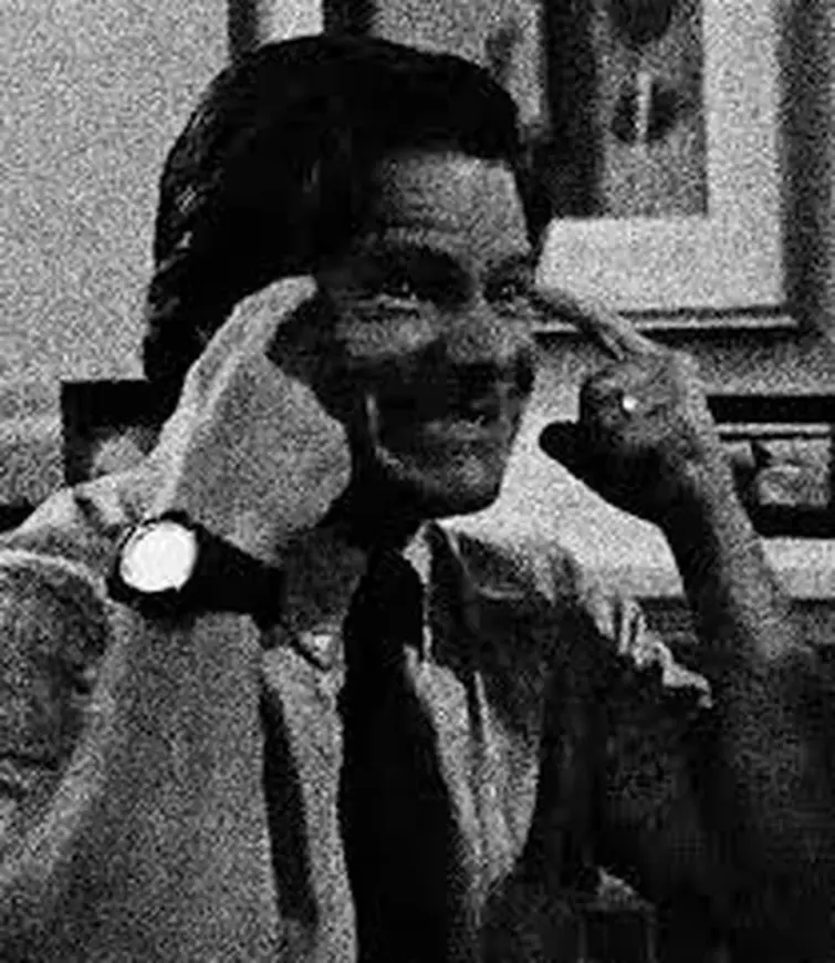 What do you think of the schizophrenic Frank memes on TikTok? | Fandom