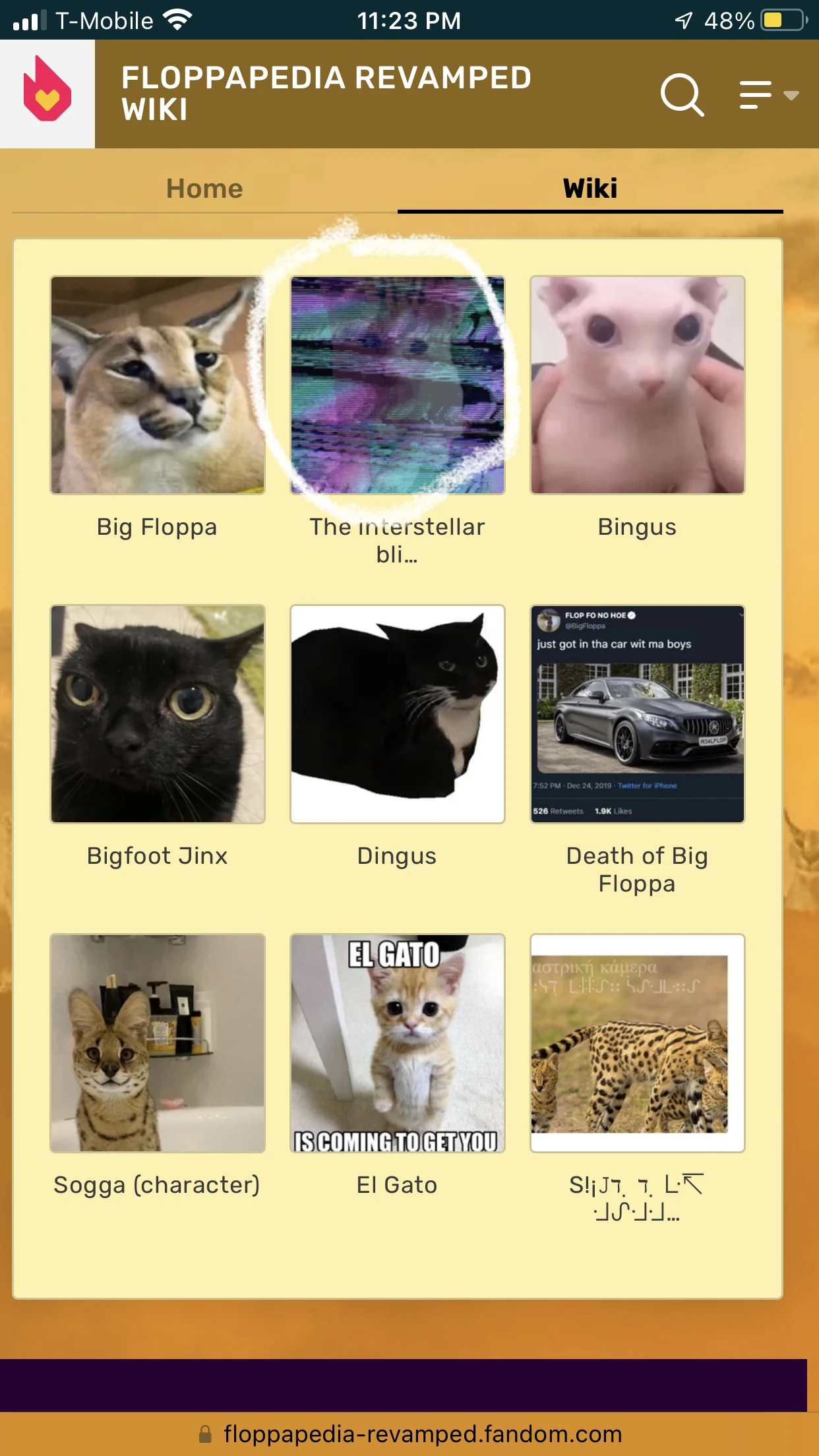 Why is this shitty cingus garbage at the top with actually good pages ...