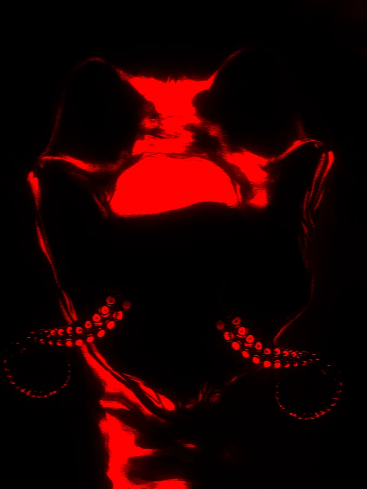 Phase 369999 | Fandom