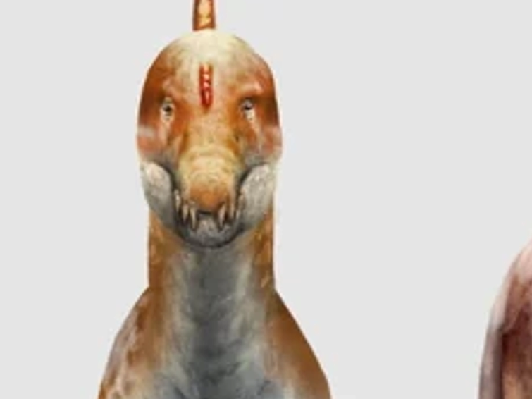 Front-facing Spinosaurus jumpscare | Fandom