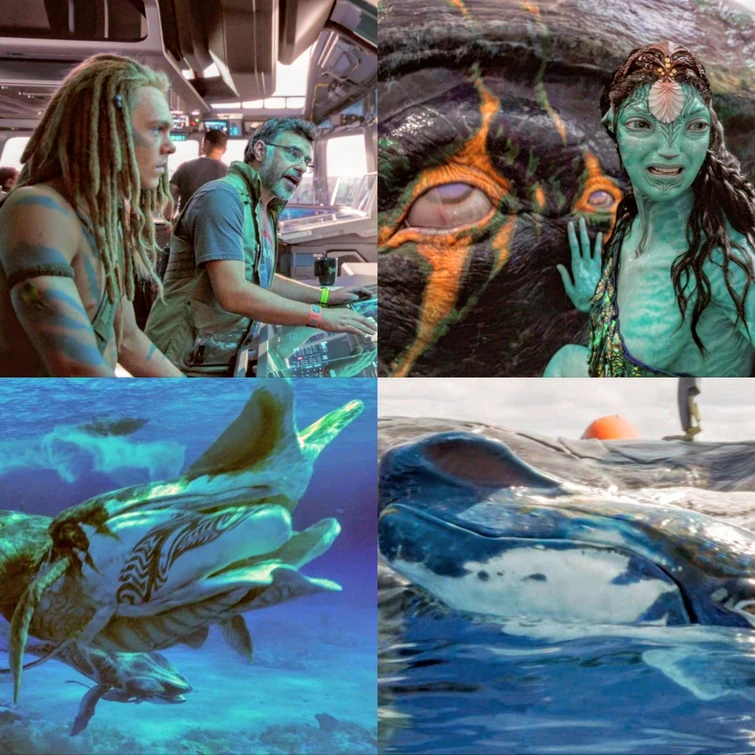 Discuss Everything About Avatar Wiki | Fandom