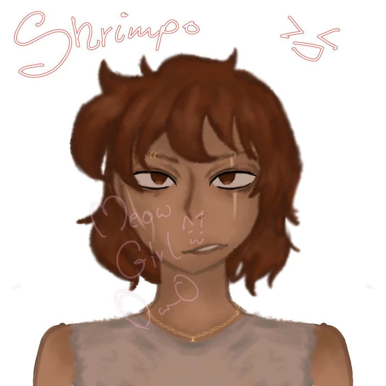 Dandy's as HUMANS!! Part 1. SHRIMPO | Fandom