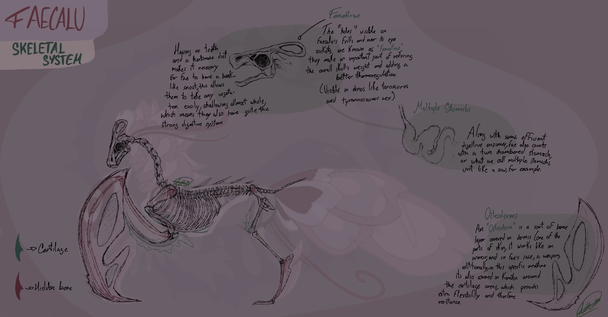 Anatomy study pt 8 - Faecalu | Fandom