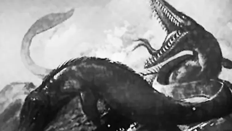 Discuss Everything About Cryptid Wiki | Fandom