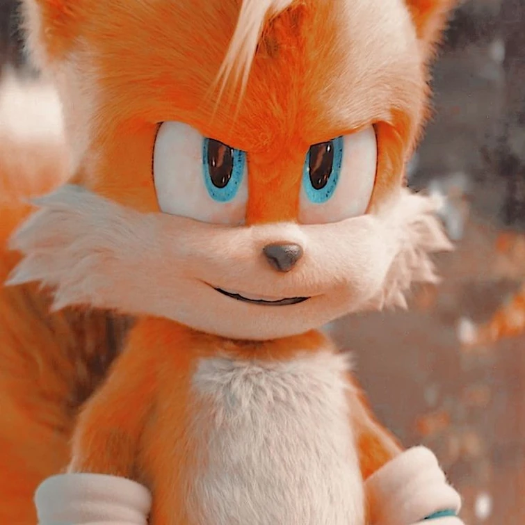SONIC THE HEDGEHOG 2 MOVIE ALL DATE OF BIRTH CHARACTER | Fandom