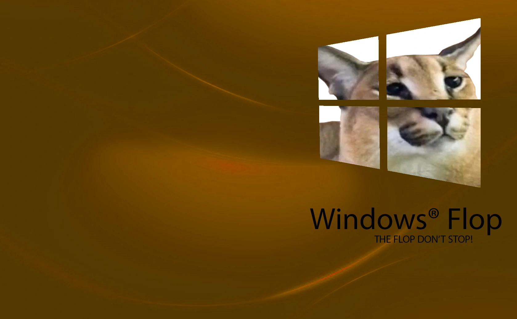 Hey, look! It's Floppa Friday! | Fandom