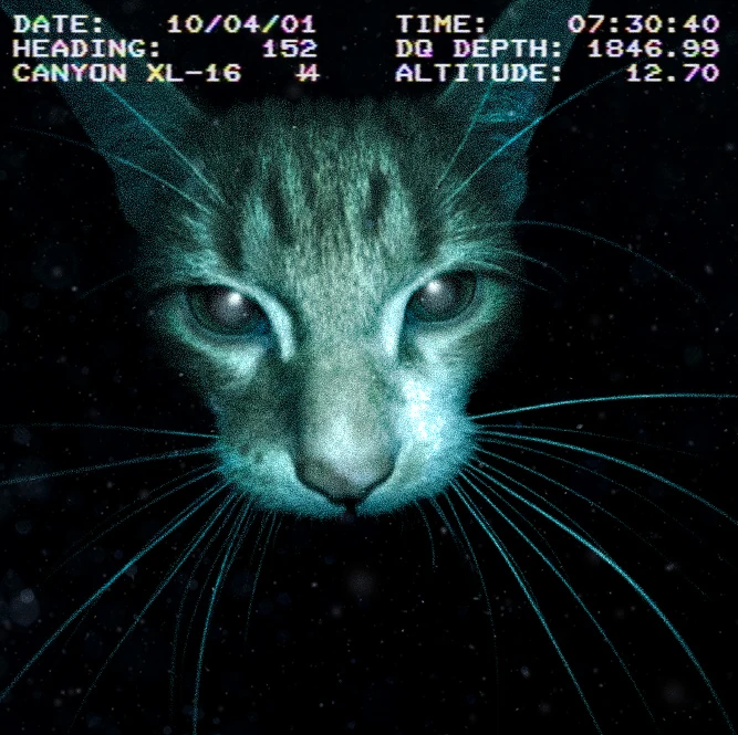 You have been visited by the mystical Deep Sea Creature! | Fandom