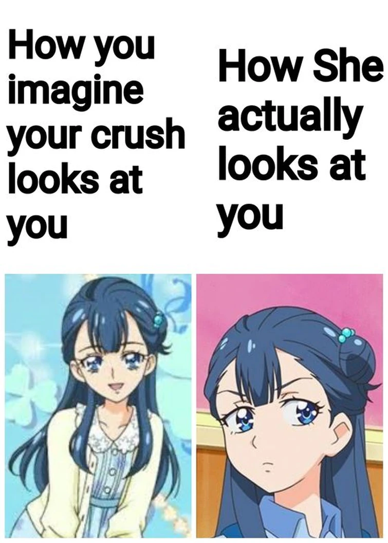 since it's precure leak month, share your favorite precure memes! | Fandom
