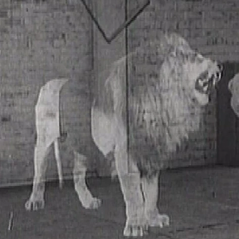 Lion Ghost | 13 Ghosts Wiki | Fandom